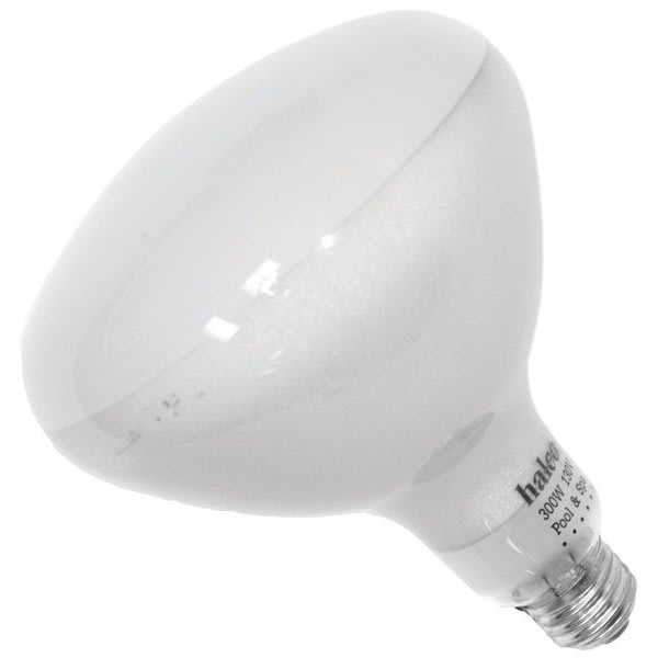 65W 100° 0.542A BR40 Incandescent Reflector Bulb (12-Pack) | HD Supply