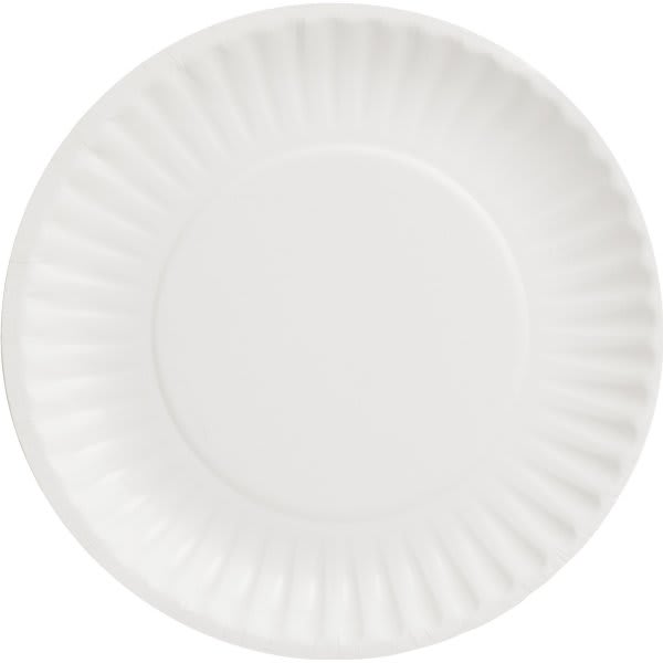 Paper Plate 8.5 Inch White, Case Of 500 | HD Supply