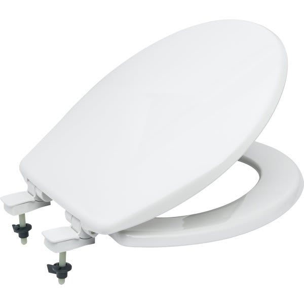 Centoco Toilet Seat Bolts And Nuts, Plastic, Package Of 2 | HD Supply