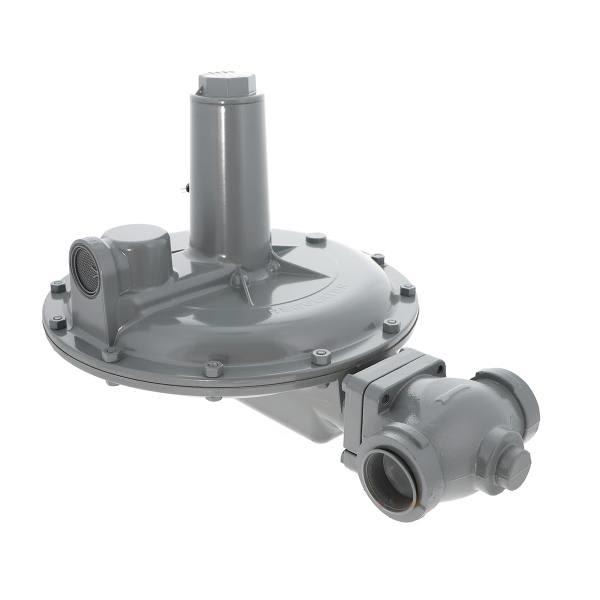 Sensus 1" Internal Relief Valve 1/4" Orifice Green 6-14" | HD Supply