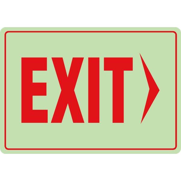 Glo Brite® Red Photo Luminescent Exit Sign | HD Supply