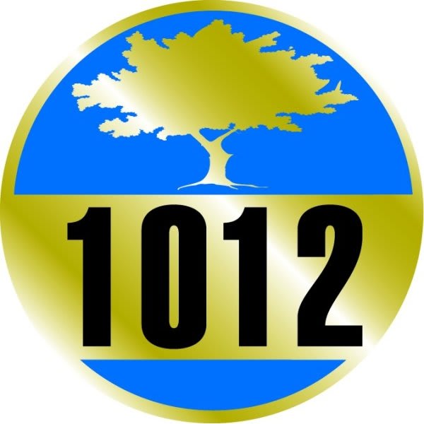 Parking Permit Window Stickers, Blue, 3 x 2, Package of 100 | HD Supply