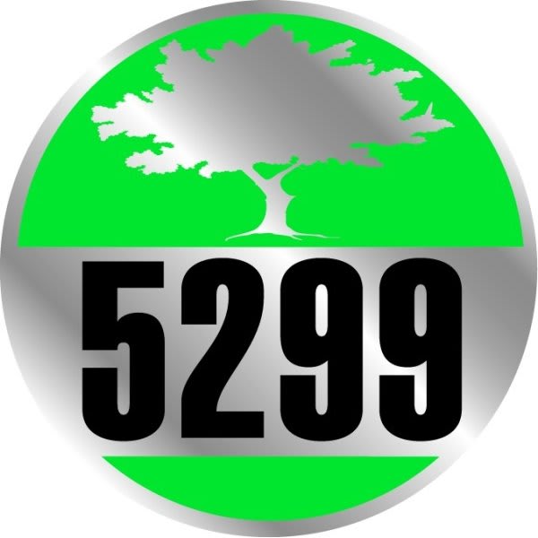 Parking Permit Window Stickers, Blue & Green, 3 x 2 Package Of 100 | HD ...