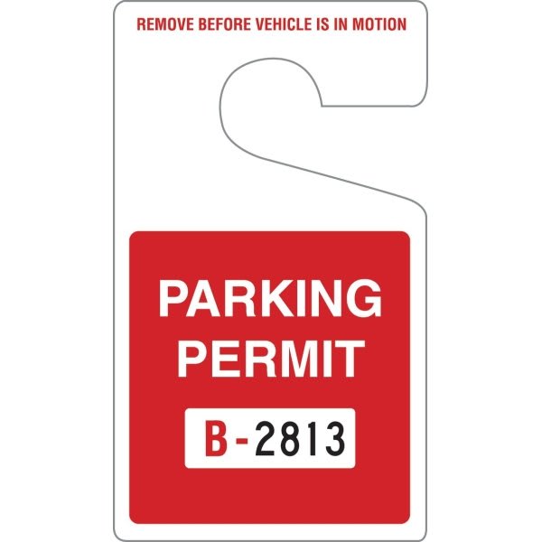 Custom Parking Permit With Front Adhesive, 3"x2", Month-Year, Package ...