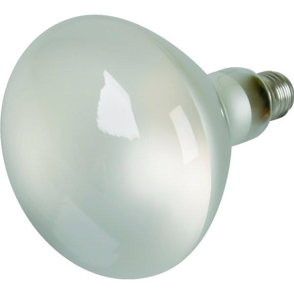 Philips® Reflector Bulb 250w Heat Clear | HD Supply