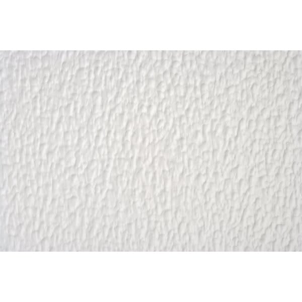 Genesis™ 2ft X 2ft Stucco Pro Flat White Lay In Ceiling Tile, Case Of ...