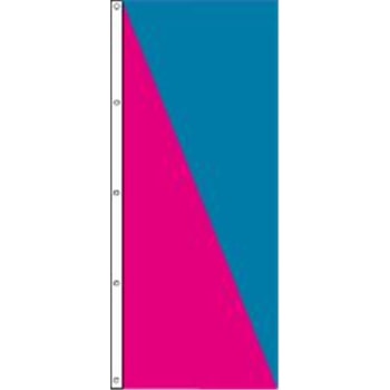 Magenta Turquoise Flag | HD Supply