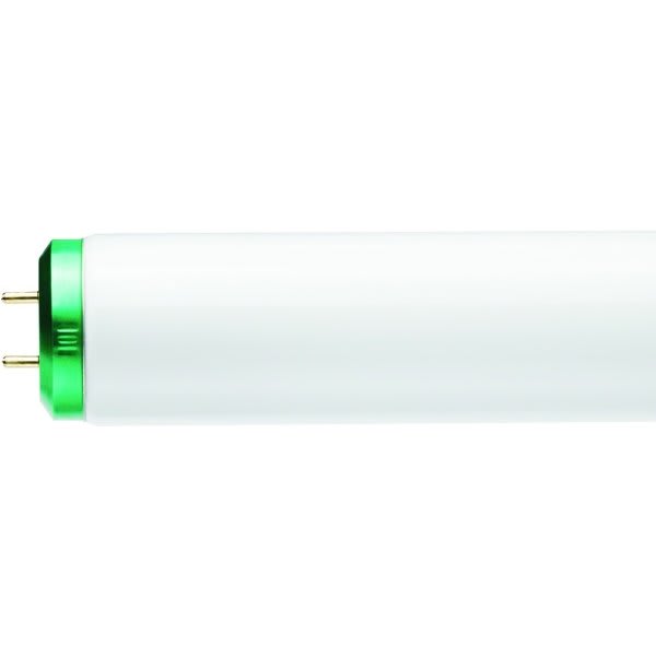 Philips® 40w T12 Fluorescent Linear Bulb (6500k) (30-Pack) | HD Supply